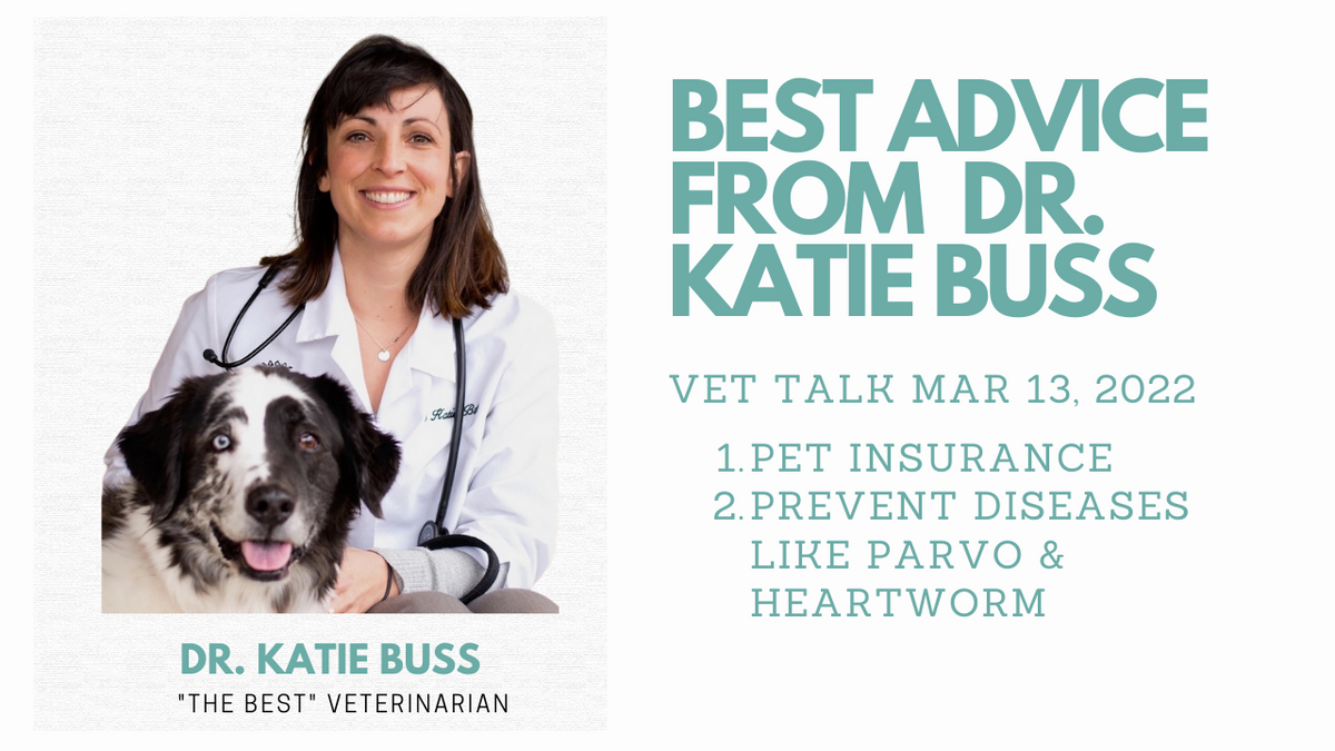 Best Advice from Dr. Katie Buss – Twin Trees Vet (education)
