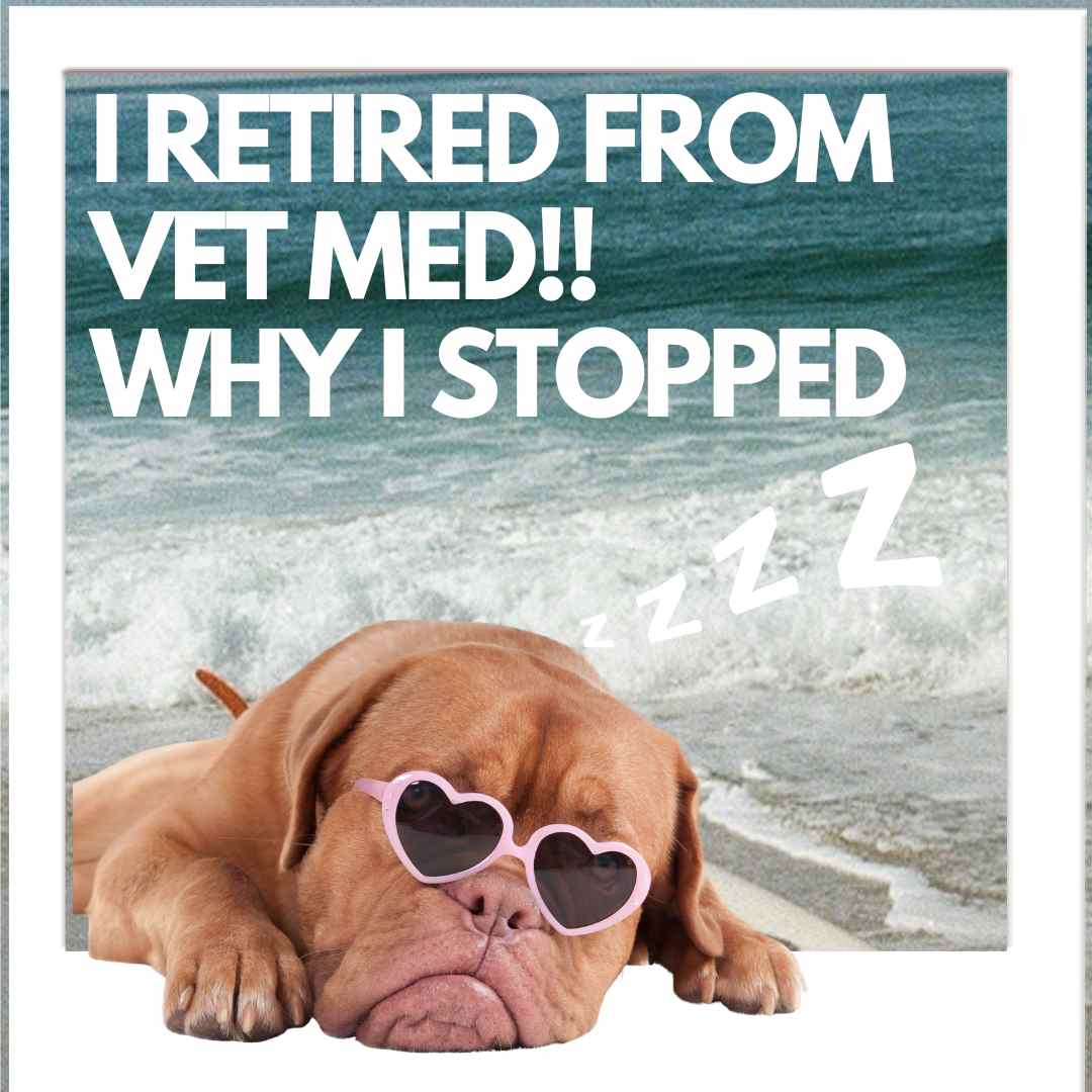 I RETIRED FROM VET MED!! Why I stopped practicing veterinary medicine ...